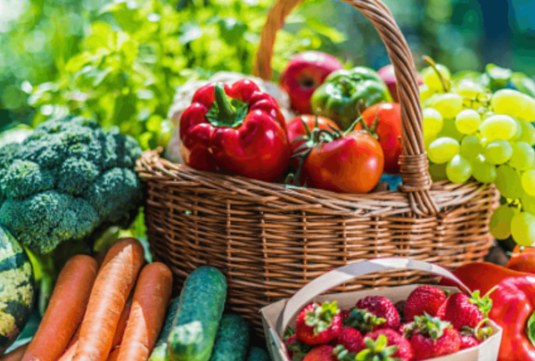 Εποχικότητα τροφίμων και βιωσιμότητα - Activeat